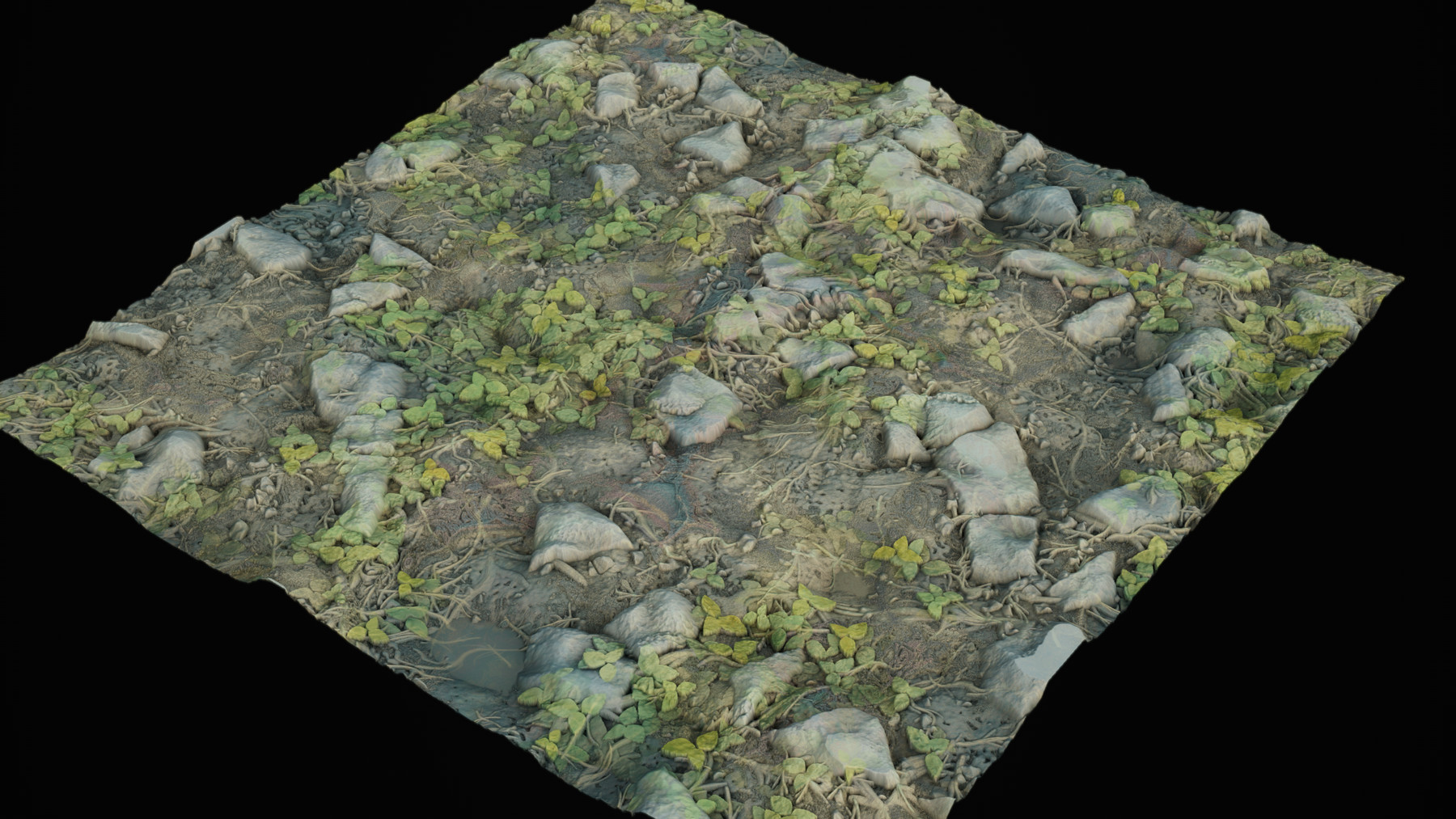 ArtStation - Cliff + Rocky Ground- Textures only | Resources
