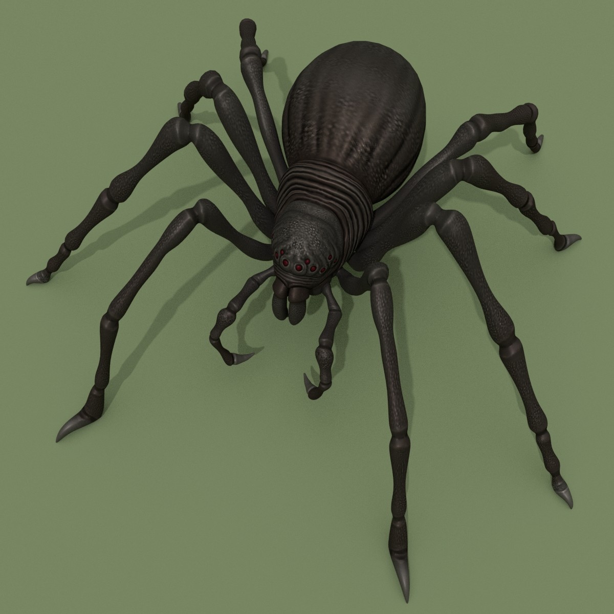 ArtStation - Fantasy Spider | Resources