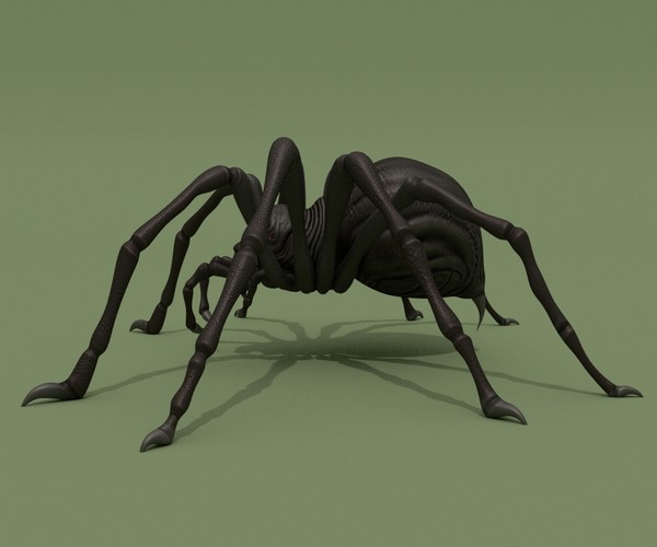 ArtStation - Fantasy Spider | Resources