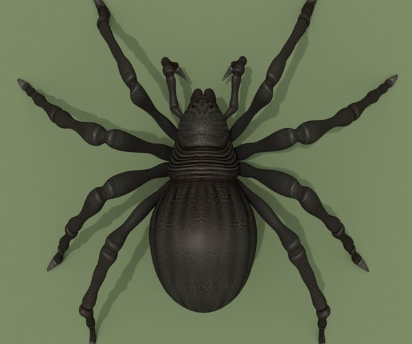 ArtStation - Fantasy Spider | Resources