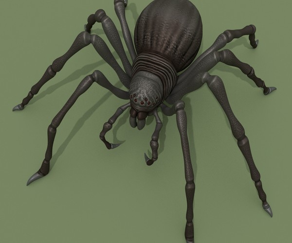 ArtStation - Fantasy Spider | Resources
