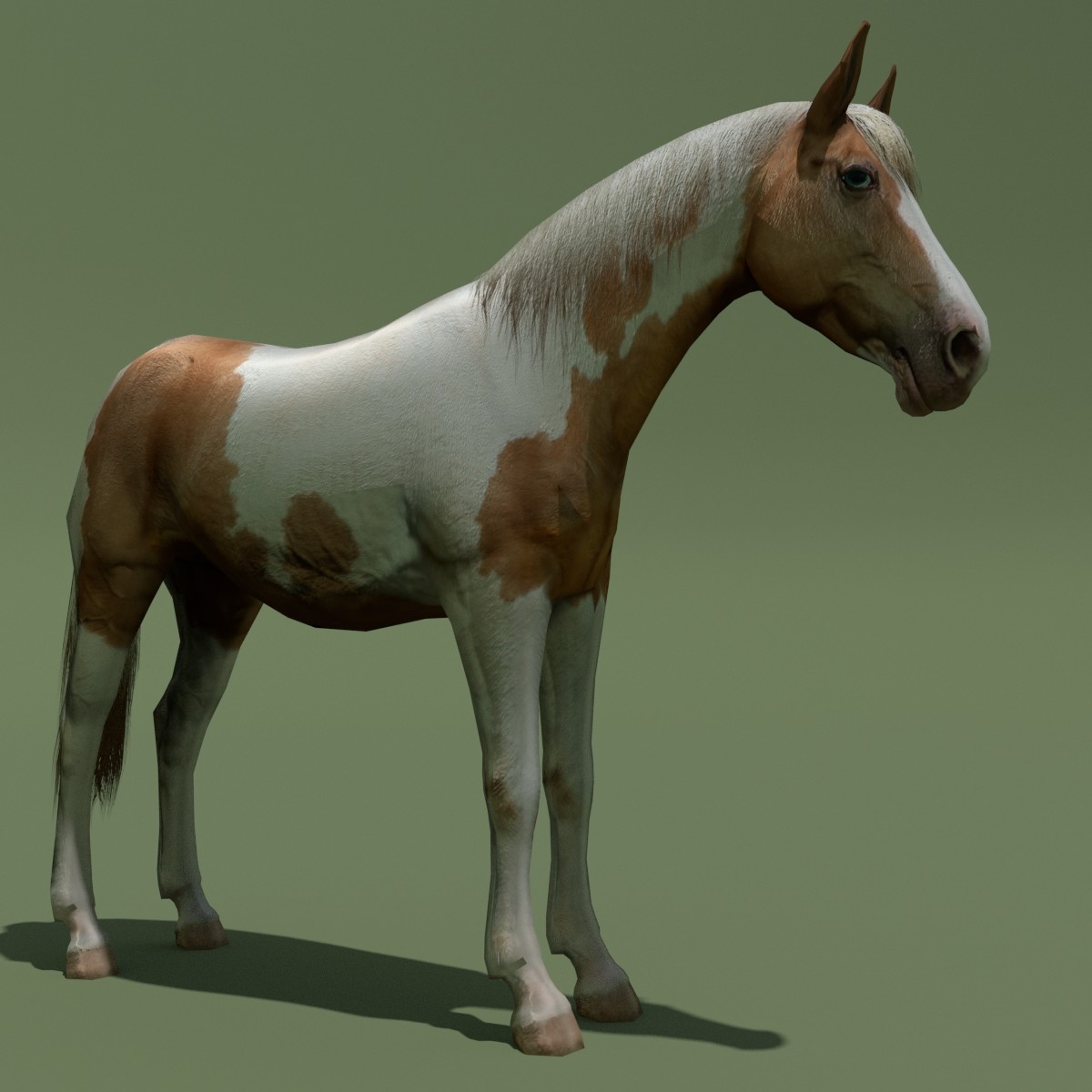 ArtStation - LowPoly Horses Pack | Resources
