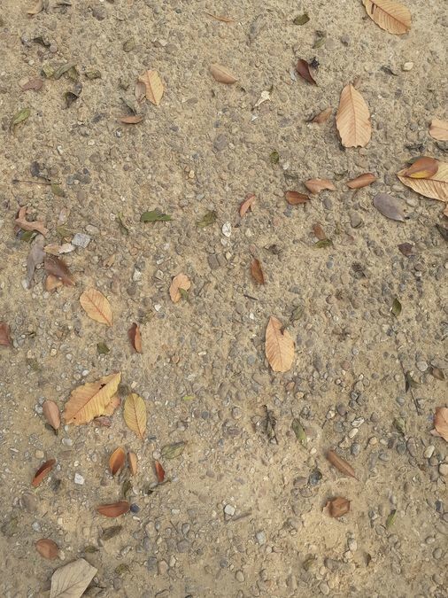 ArtStation - Environment Textures | Resources