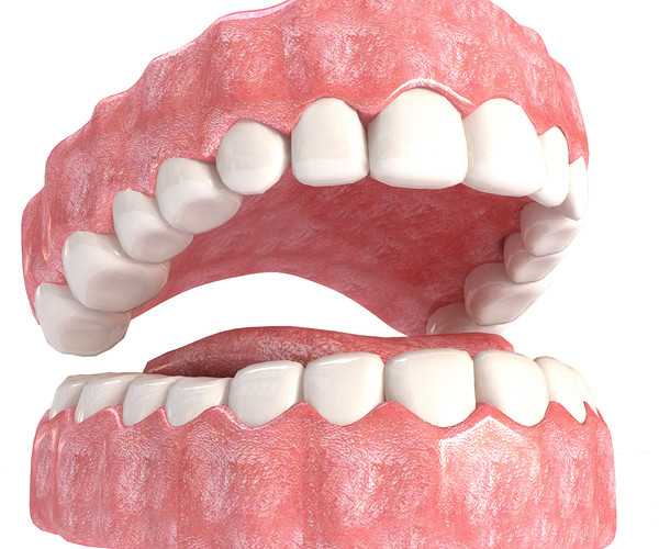 ArtStation - Realistic Mouth teeth | Resources