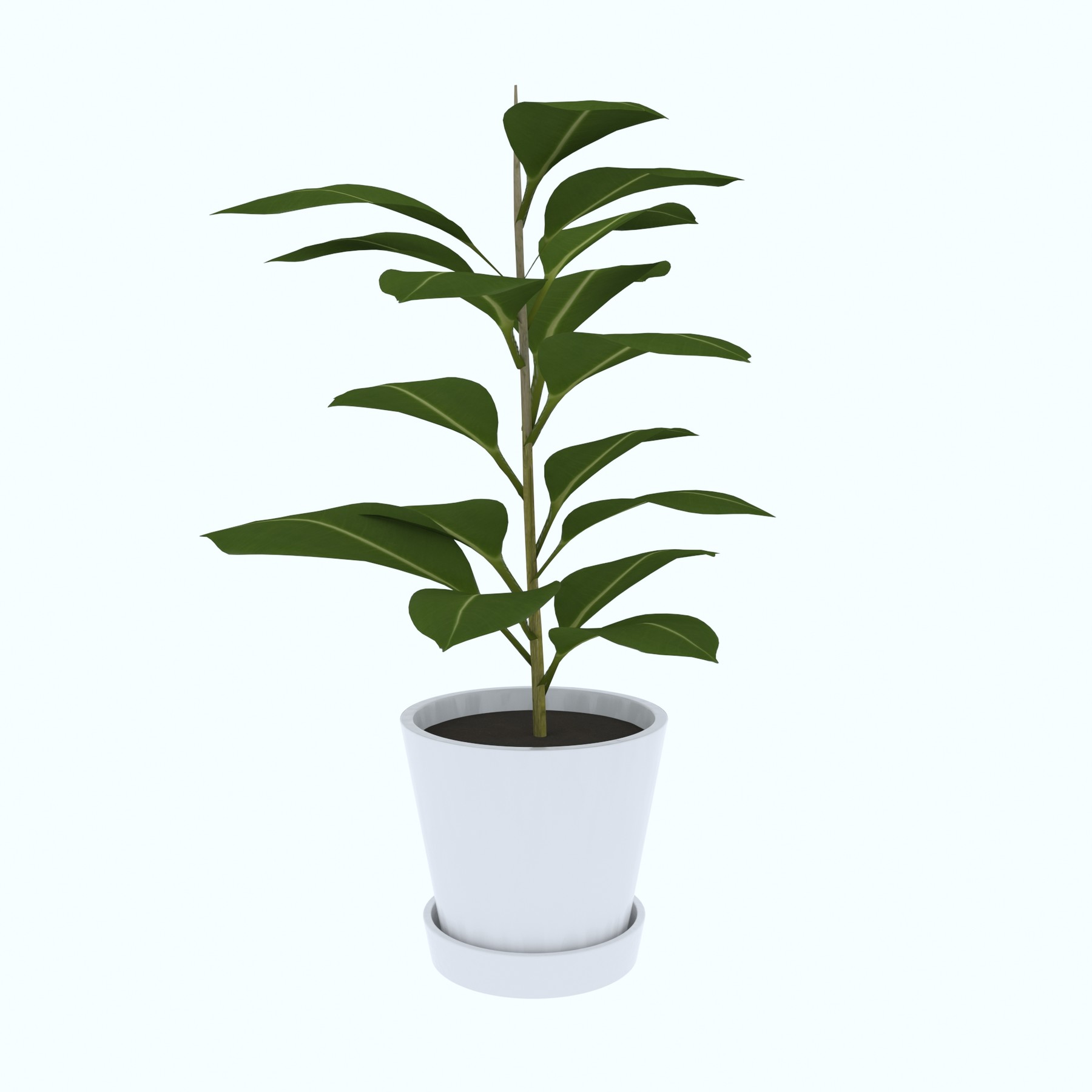 Adam Adams - Potted Rubber Tree Plant Prop