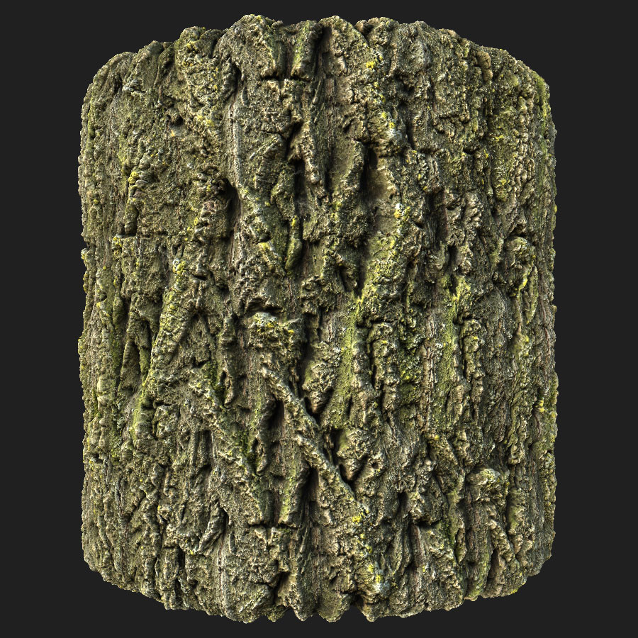 ArtStation - Tree Bark 8 Material Pack | Game Assets