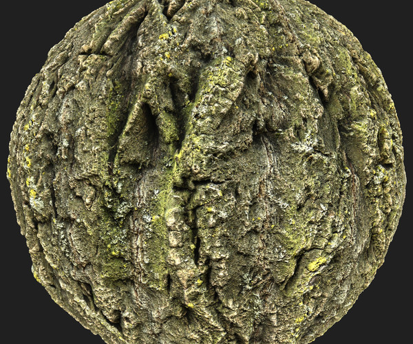 ArtStation - Tree Bark 8 Material Pack | Game Assets