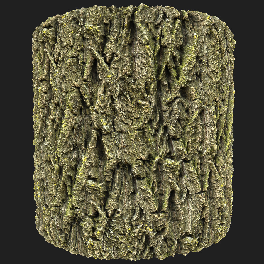 ArtStation - Tree Bark 8 Material Pack | Game Assets