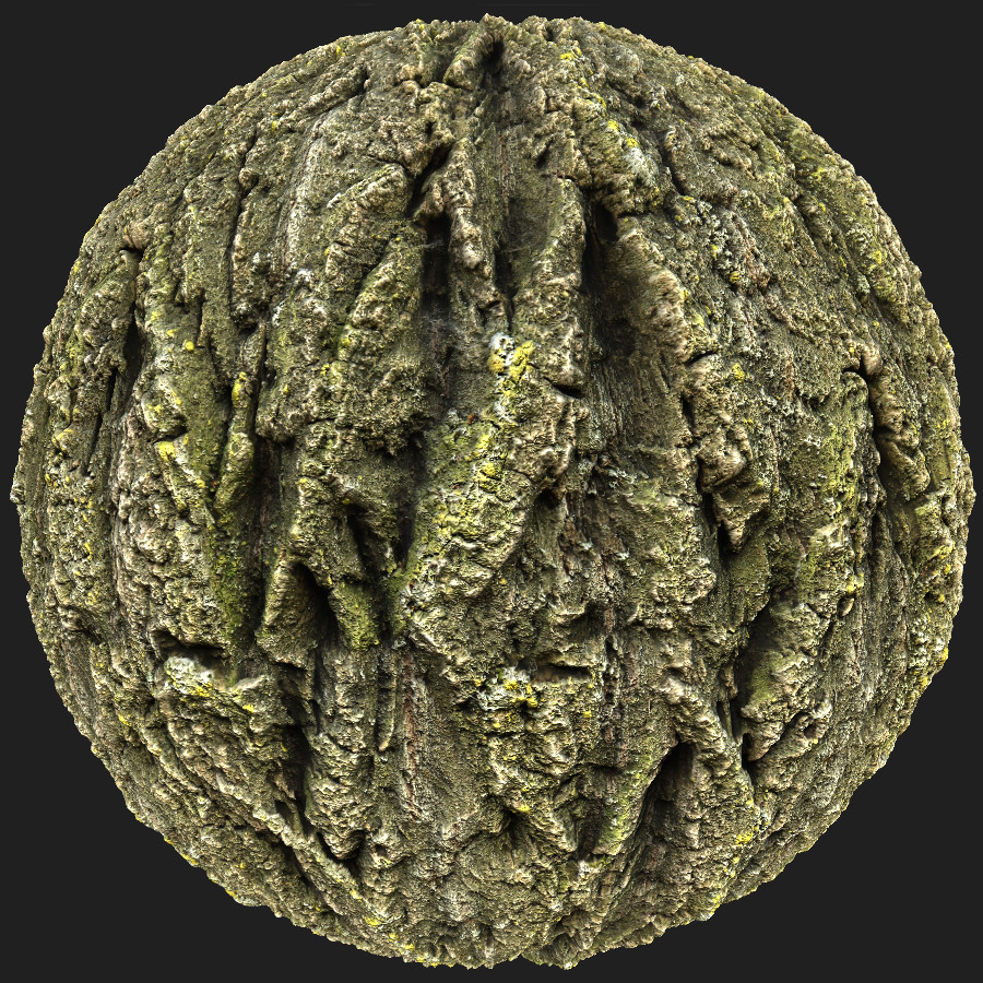 ArtStation - Tree Bark 8 Material Pack | Game Assets