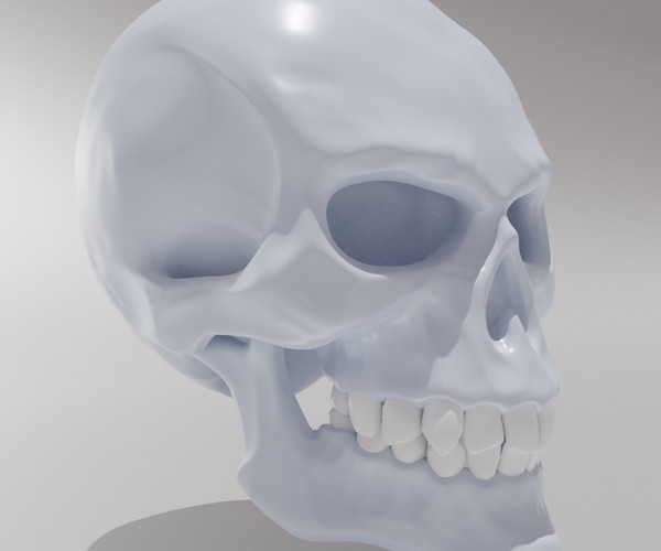 ArtStation - stylized skull | Resources