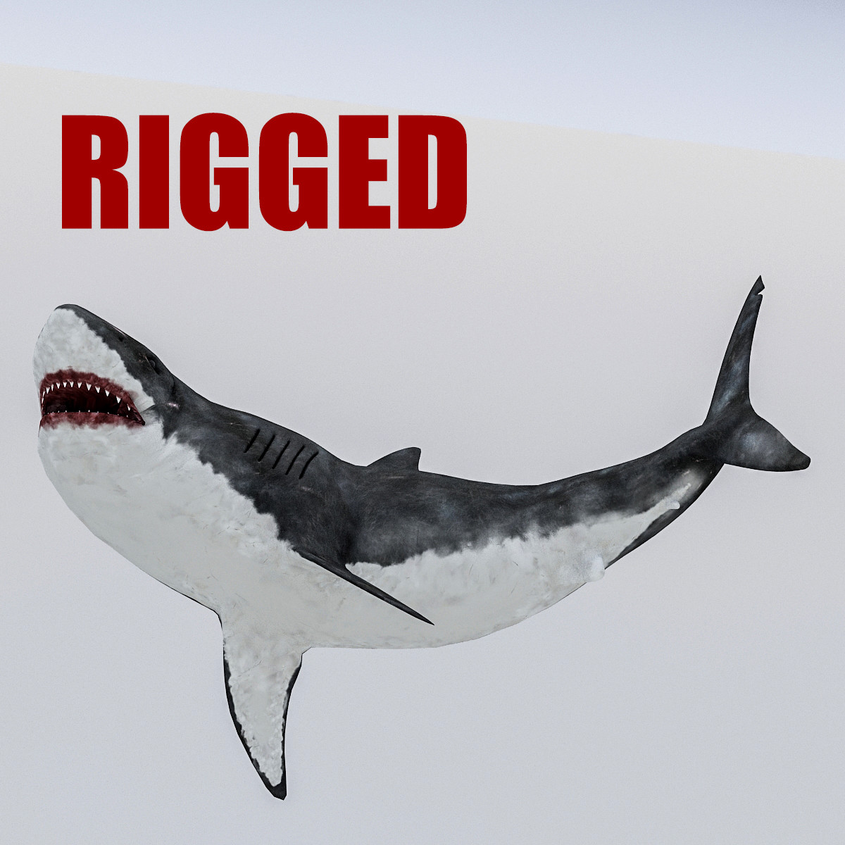 ArtStation - Rigged Shark Model | Game Assets
