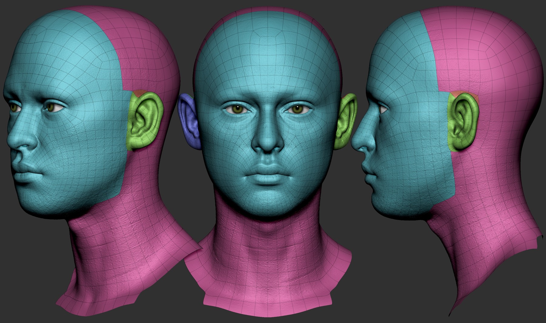 ArtStation - Head Model Basemesh | Resources