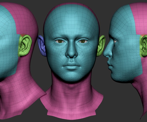 ArtStation - Head Model Basemesh | Resources