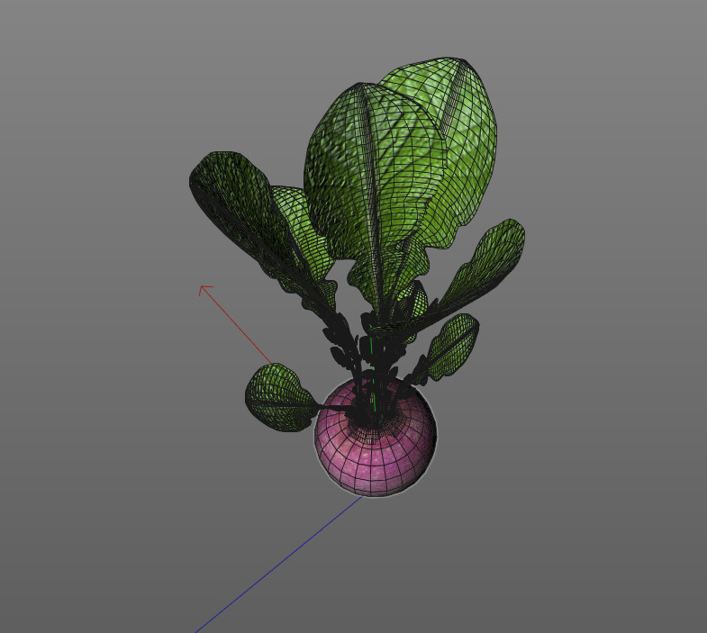 ArtStation - Radish Pink 3D Model | Resources