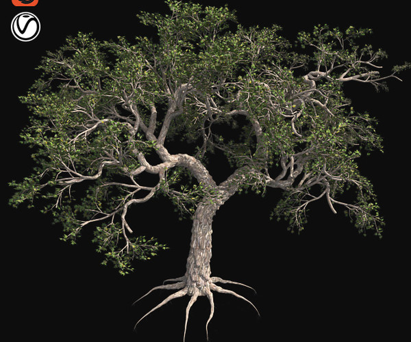 ArtStation - Tree Collection Vol 001 (30 Trees) | Resources