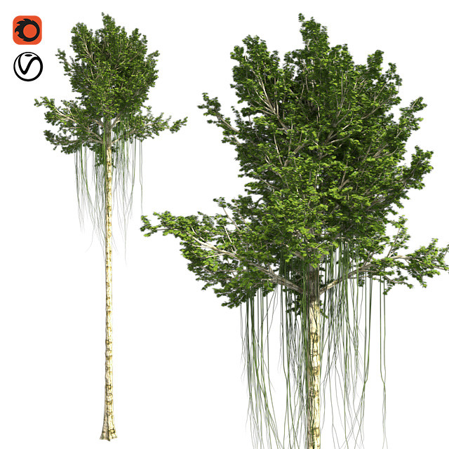 ArtStation - Tree Collection Vol 001 (30 Trees) | Resources