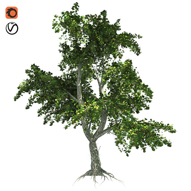 ArtStation - Tree Collection Vol 002 (32 Trees) | Resources