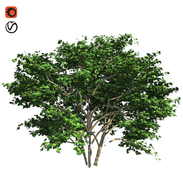 ArtStation - Tree Collection Vol 002 (32 Trees) | Resources