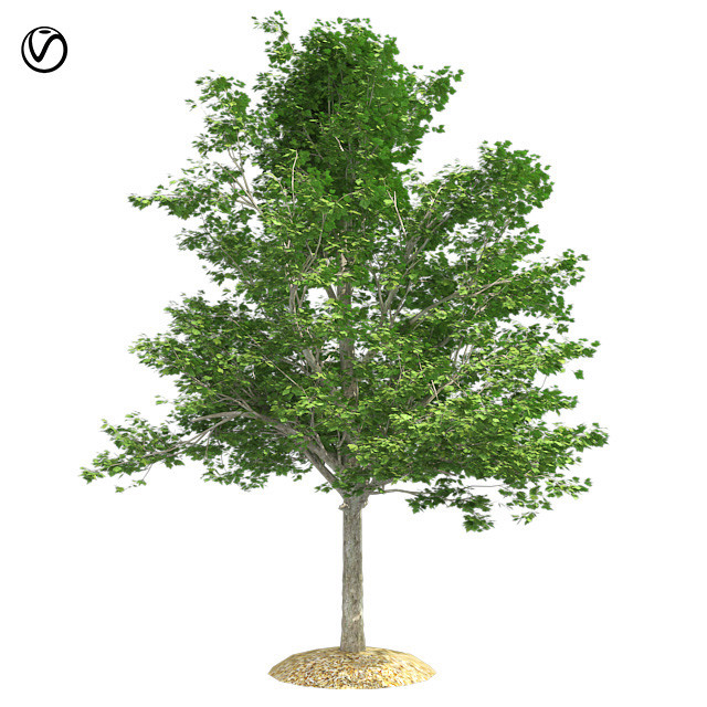 ArtStation - Tree Collection Vol 002 (32 Trees) | Resources