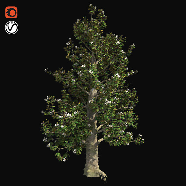 ArtStation - Tree Collection Vol 002 (32 Trees) | Resources