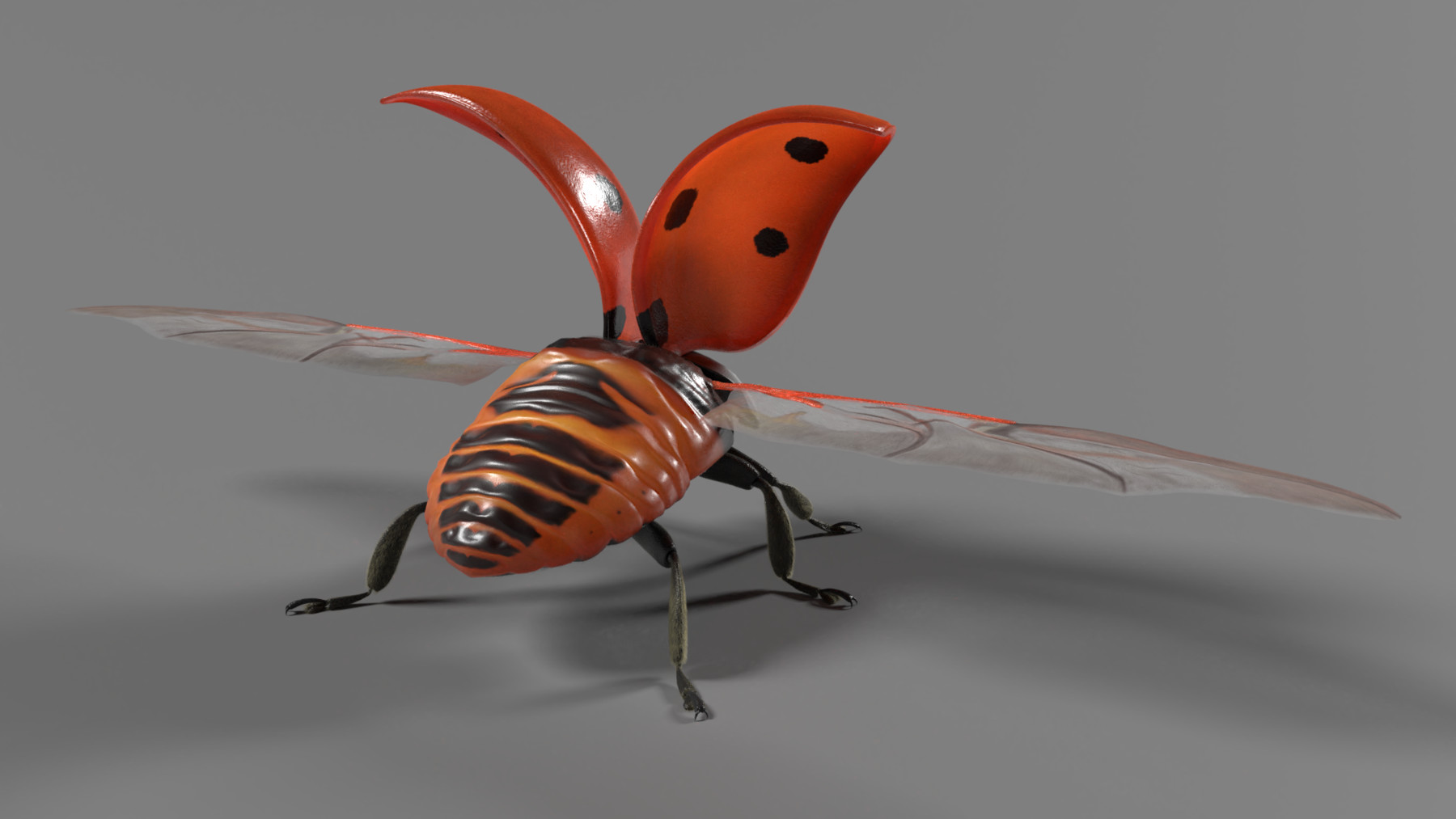 ArtStation - 3D Animal | Ladybug Animated | Resources