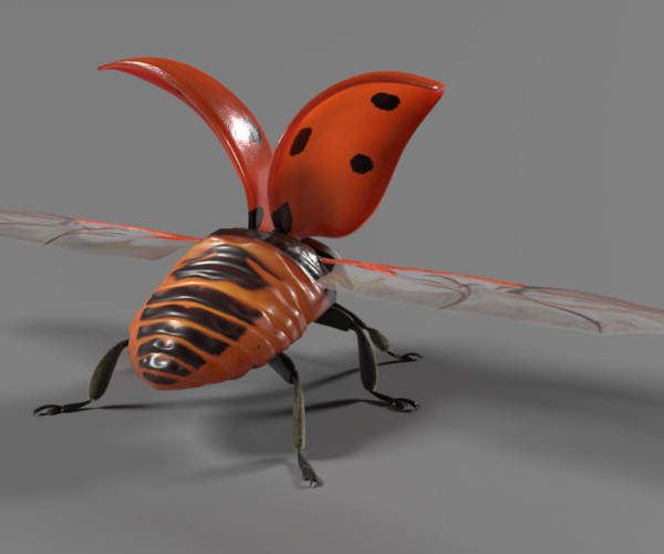 ArtStation - 3D Animal | Ladybug Animated | Resources