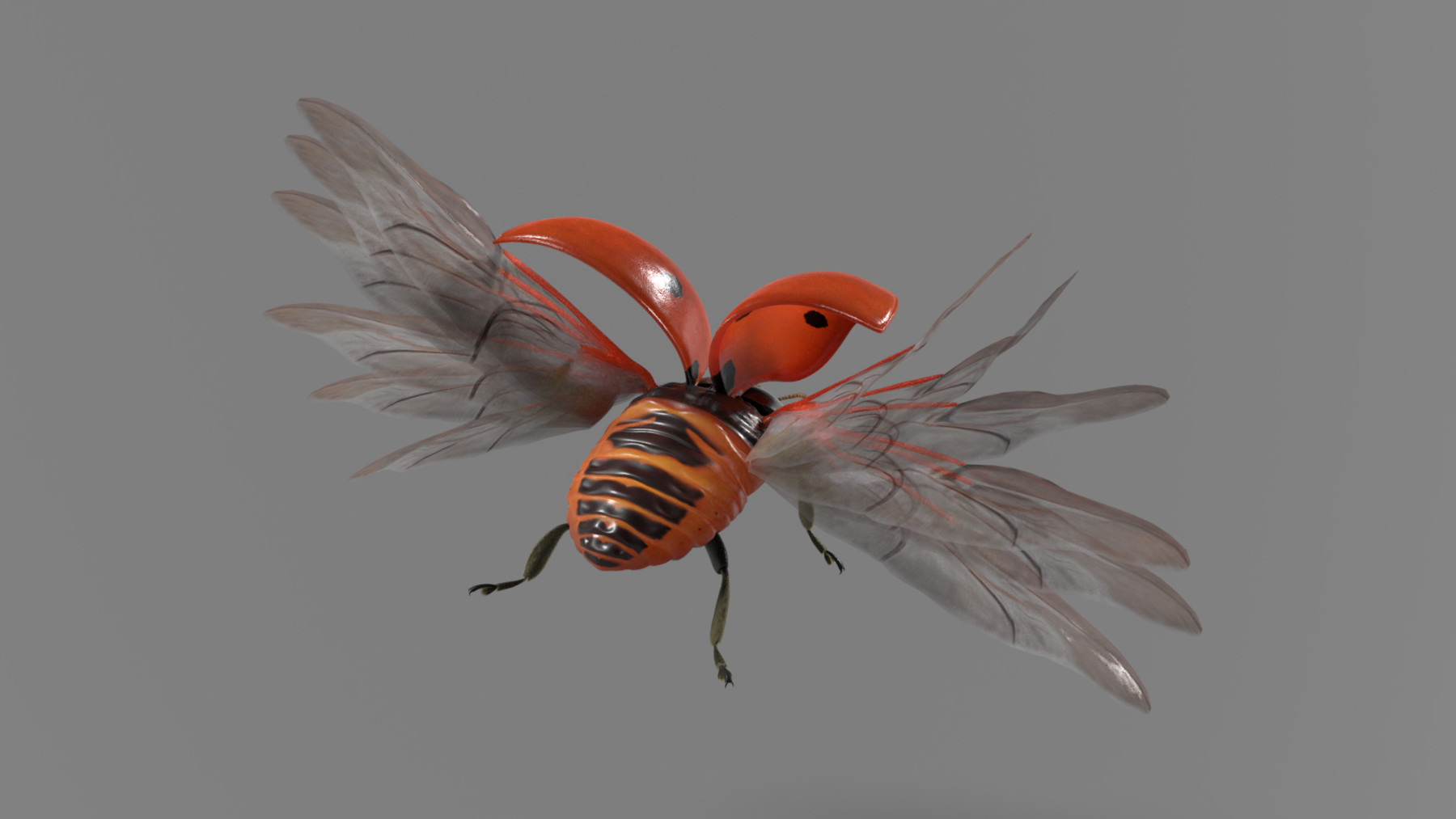 ArtStation - 3D Animal | Ladybug Animated | Resources