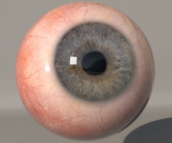 ArtStation - Realistic eye model | Resources