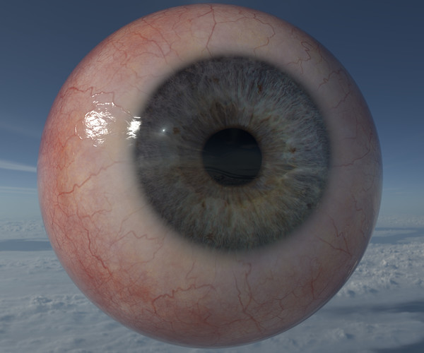 ArtStation - Realistic eye model | Resources