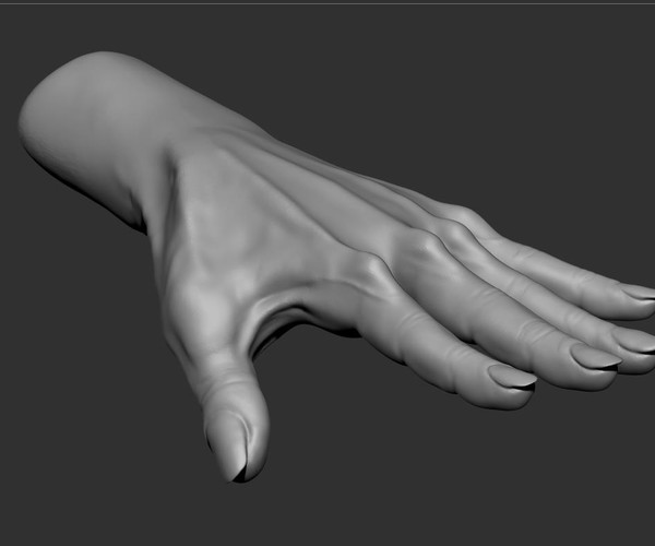 ArtStation - Female Hand Sculpt | Game Assets