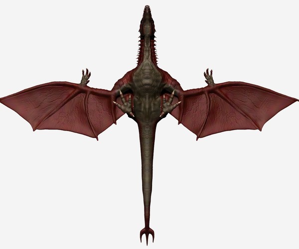 ArtStation - Wyvern Rex Sculpt | Game Assets