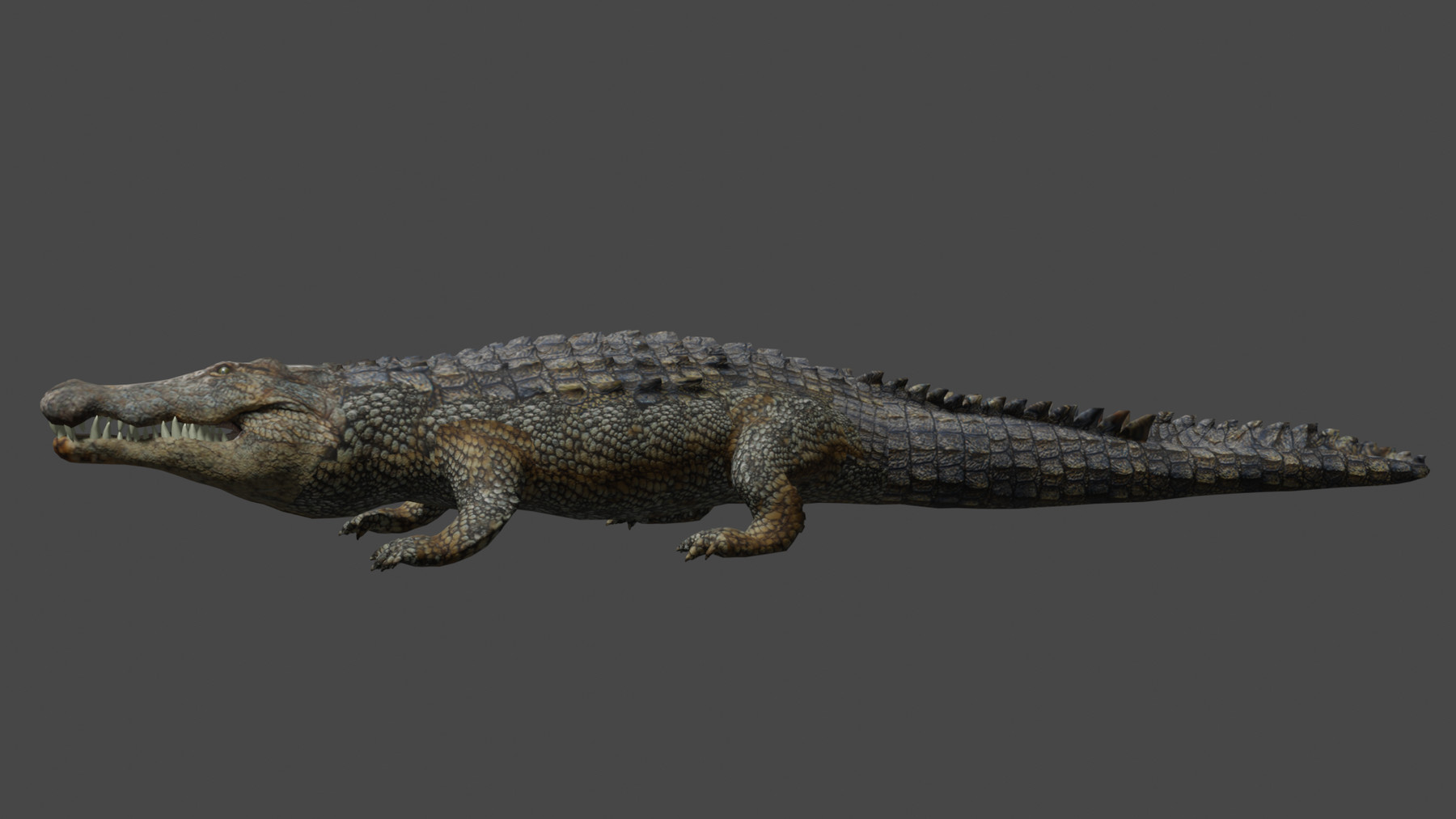 ArtStation - Aligator | Game Assets