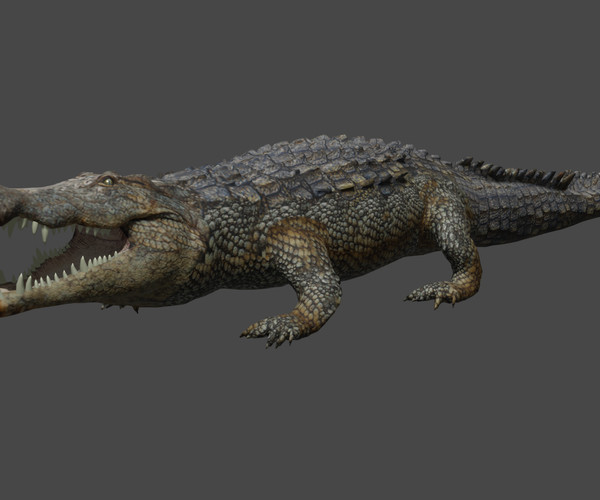 ArtStation - Aligator | Game Assets