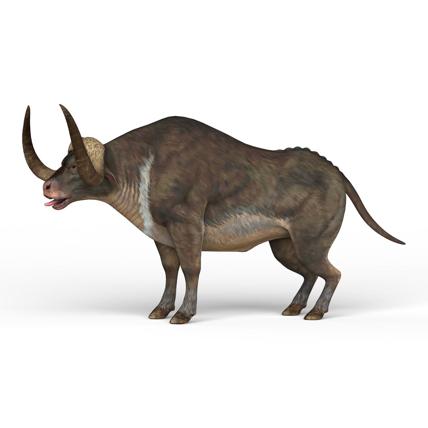 ArtStation - Wild Buffalo 3D Model | Resources