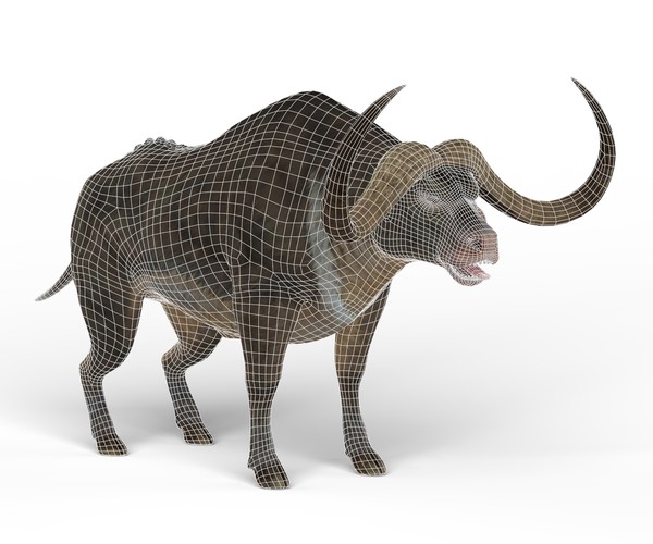 ArtStation - Wild Buffalo 3D Model | Resources