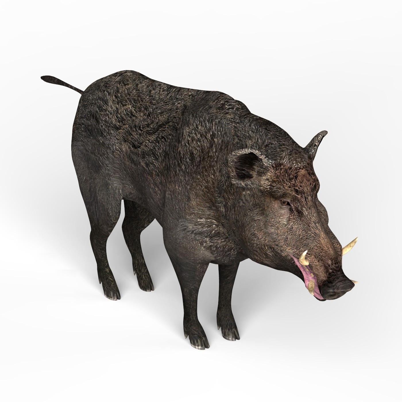 ArtStation - Wild Boar 3D Model | Resources