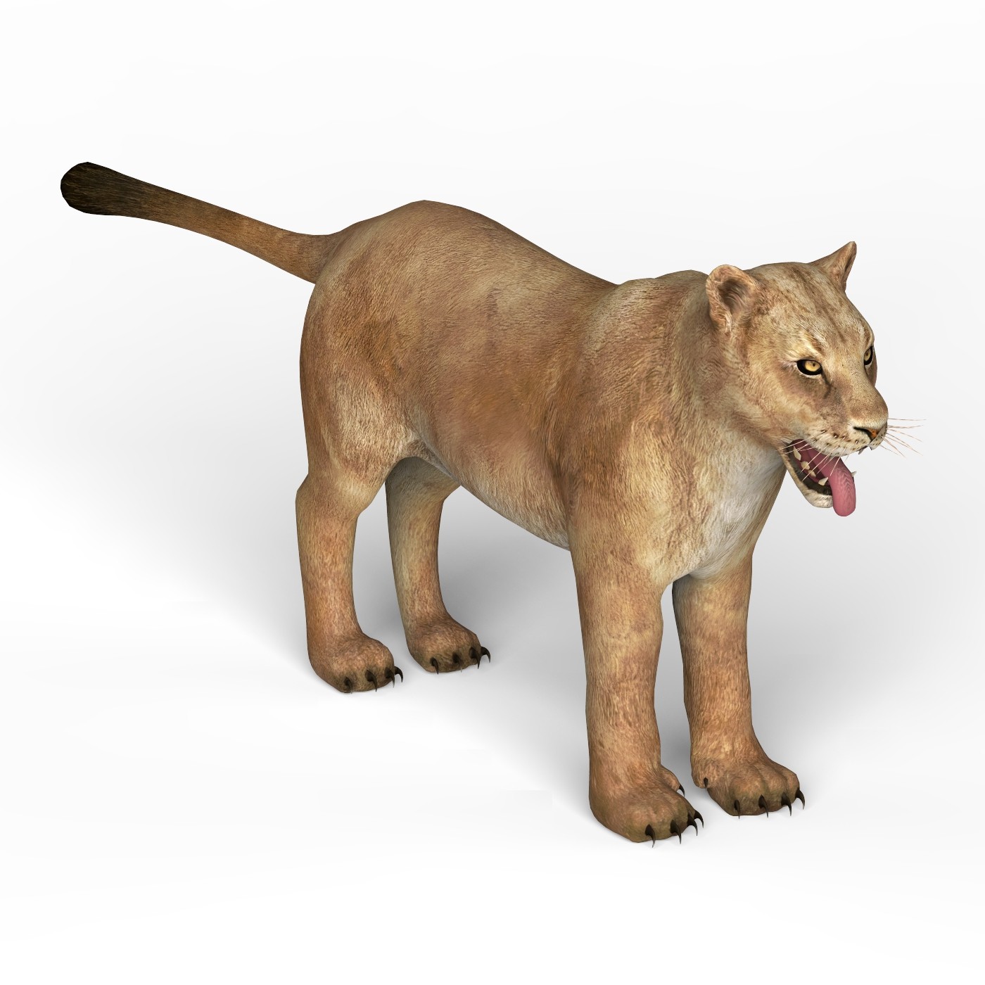 ArtStation - Lioness | Resources