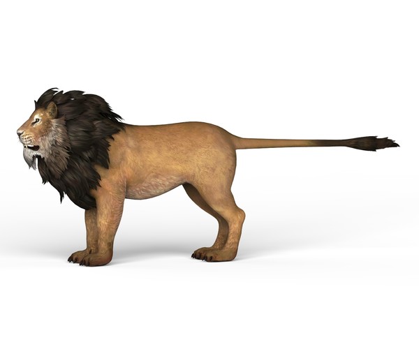 ArtStation - Lion | Resources