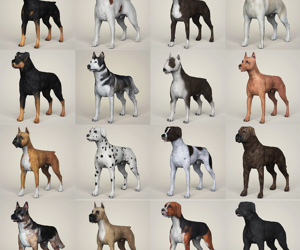 ArtStation - Realistic 3D Dog Collection | Resources