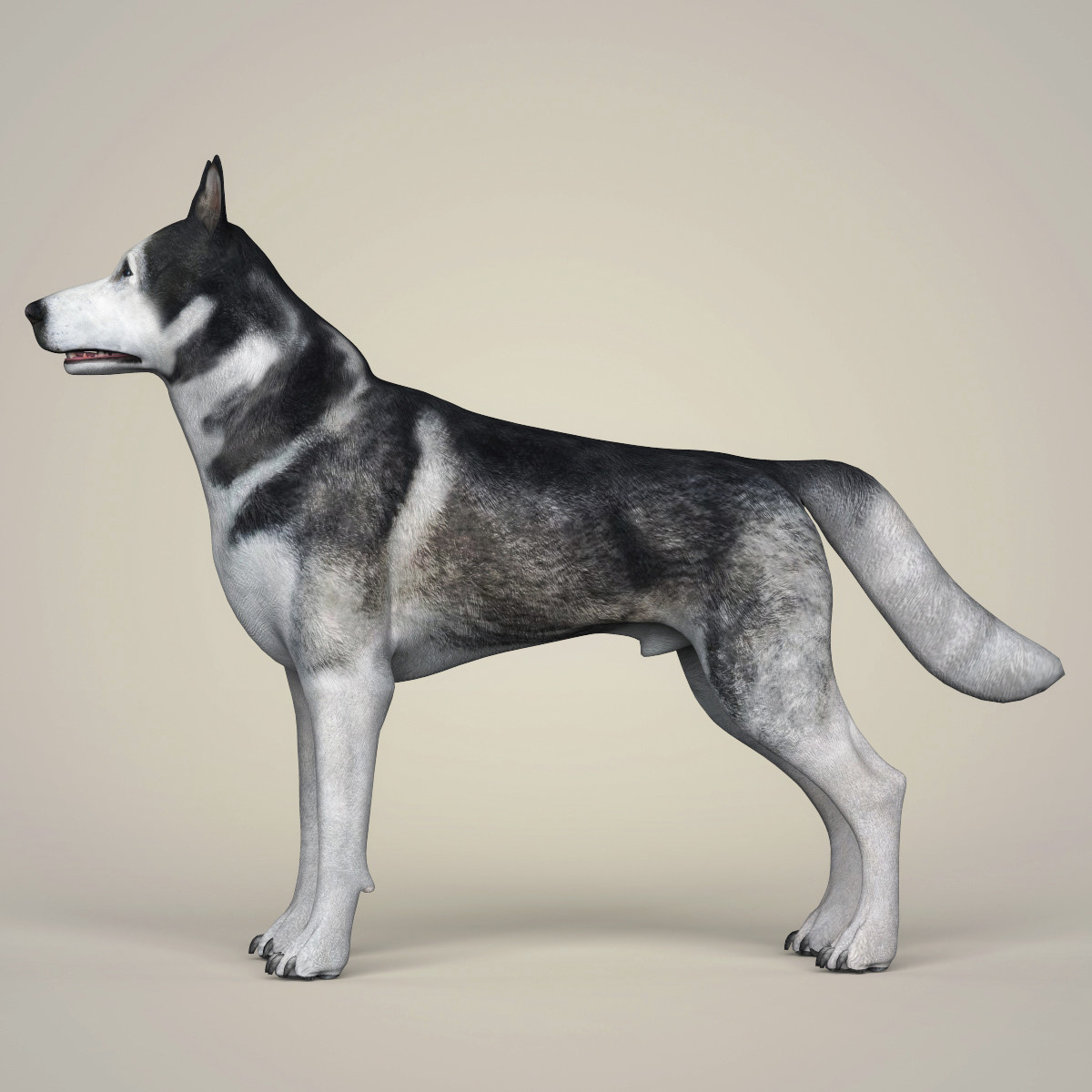 ArtStation - Realistic 3D Dog Collection | Resources