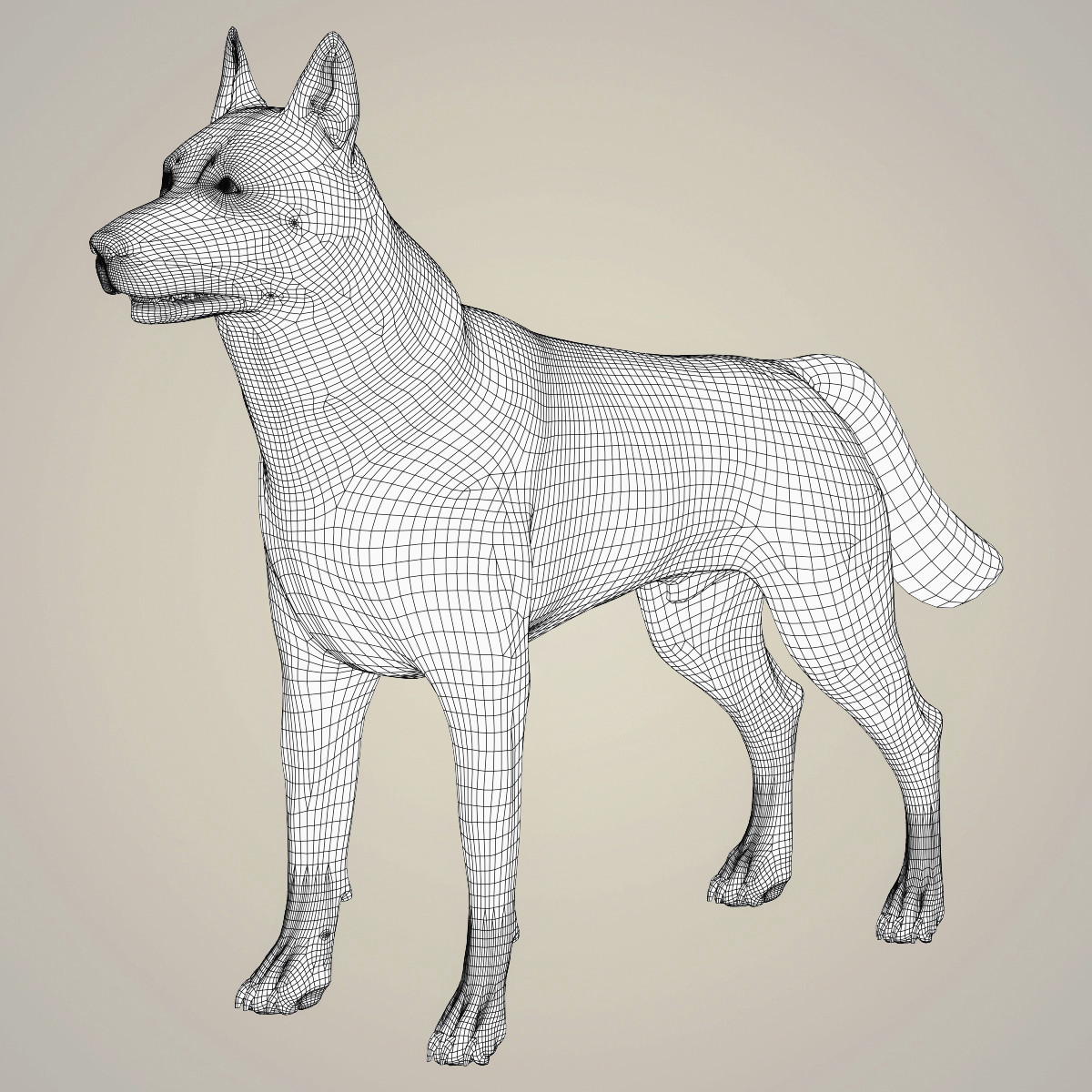 ArtStation - Realistic 3D Dog Collection | Resources