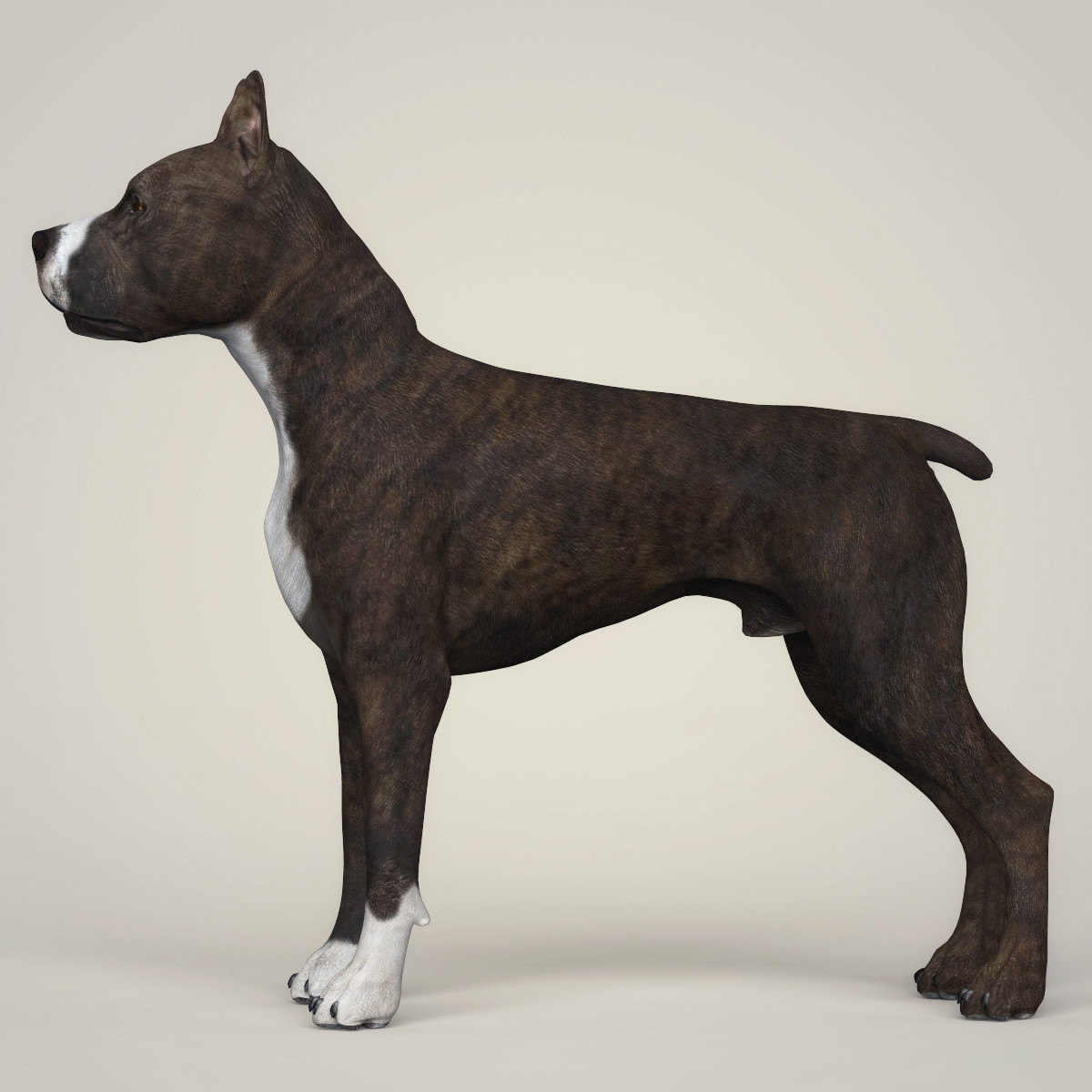 ArtStation - Realistic 3D Dog Collection | Resources