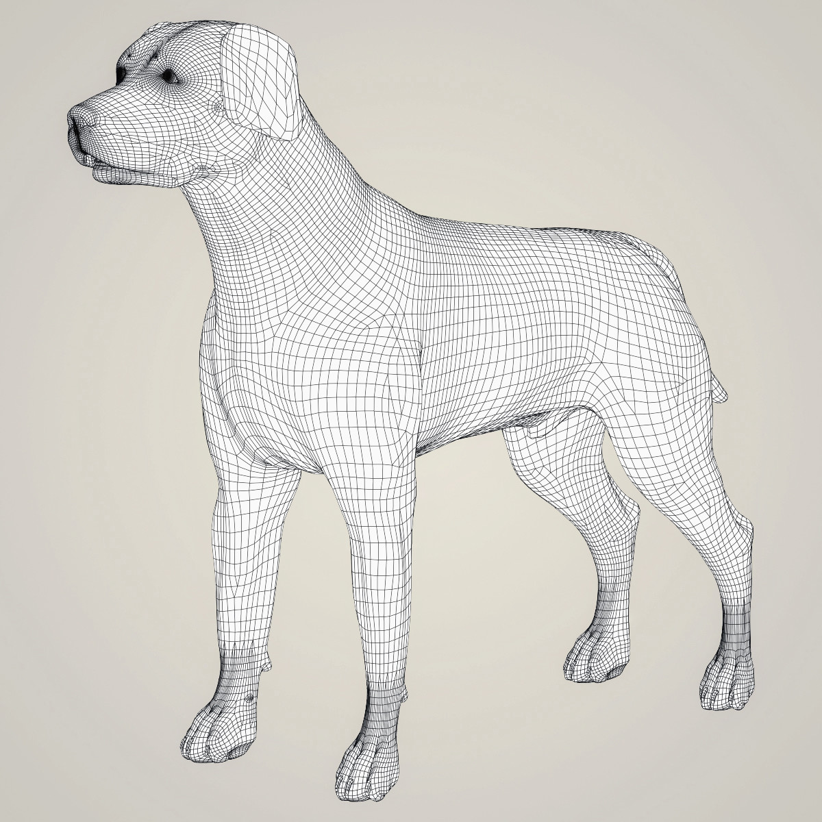 ArtStation - Realistic 3D Dog Collection | Resources