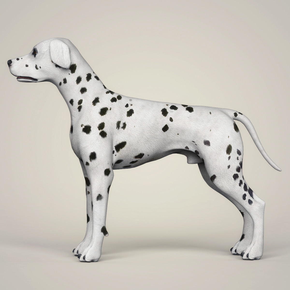 ArtStation - Realistic 3D Dog Collection | Resources