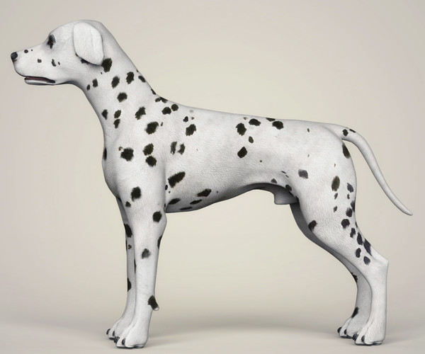 ArtStation - Realistic 3D Dog Collection | Resources