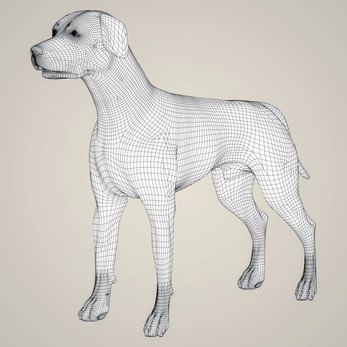 ArtStation - Realistic 3D Dog Collection | Resources