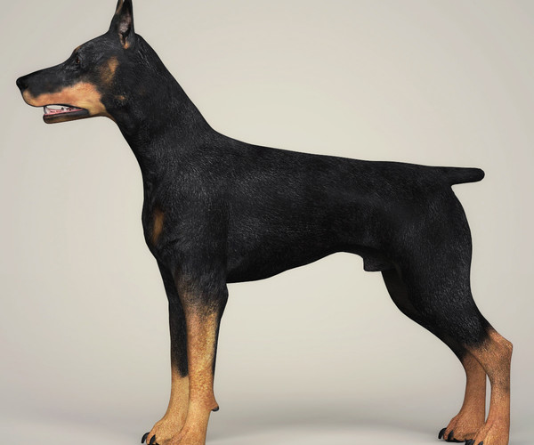 ArtStation - Realistic 3D Dog Collection | Resources