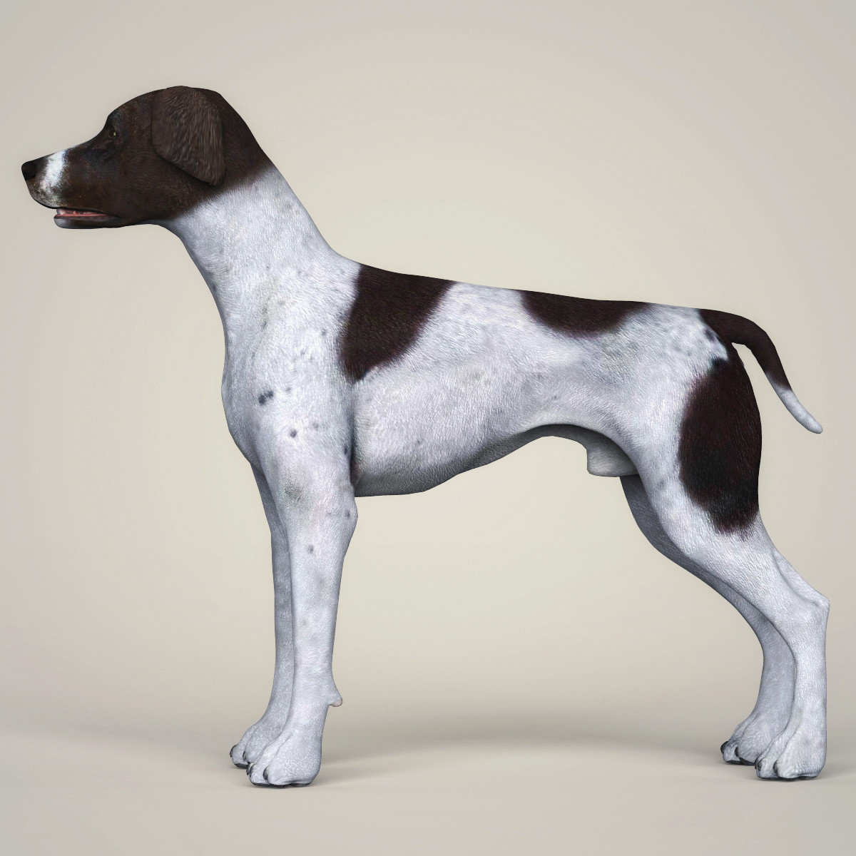 ArtStation - Realistic 3D Dog Collection | Resources