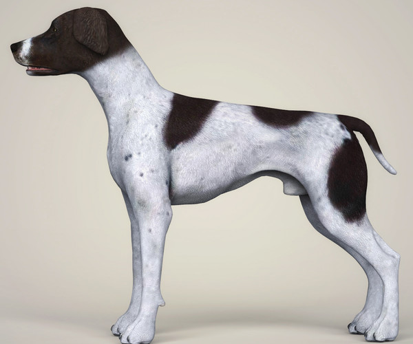 ArtStation - Realistic 3D Dog Collection | Resources