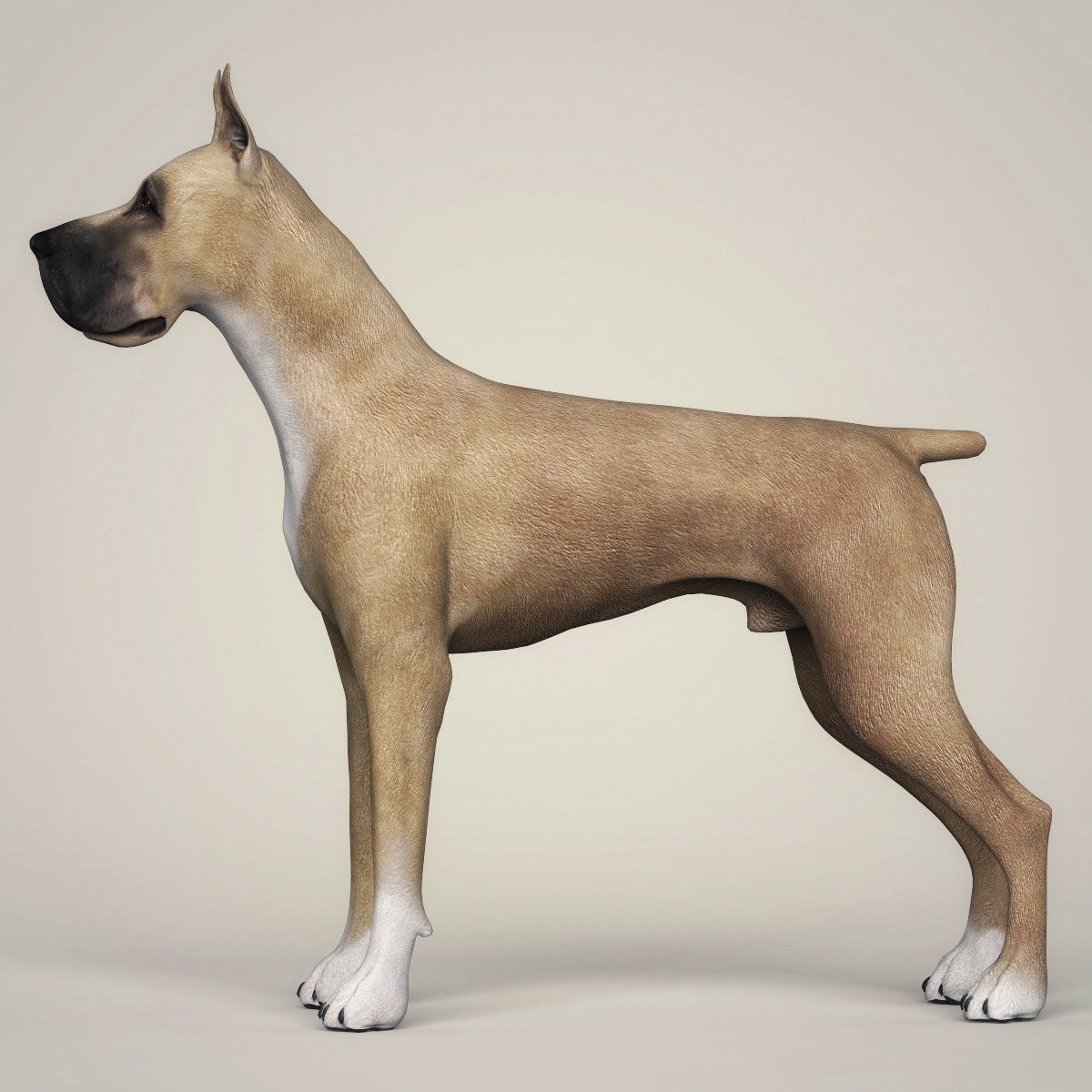 ArtStation - Realistic 3D Dog Collection | Resources